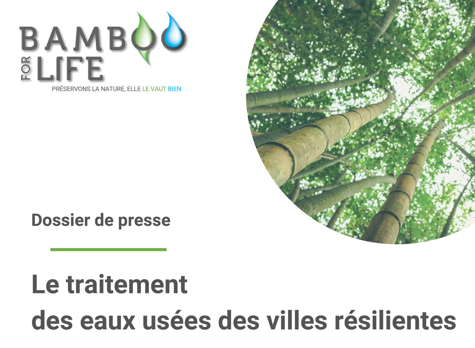 Galerie média - Bamboo For Life